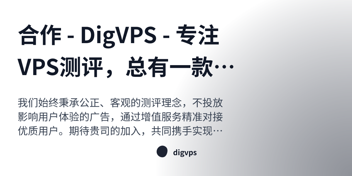 合作 - DigVPS - 专注VPS测评，总有一款服务器适合您！
