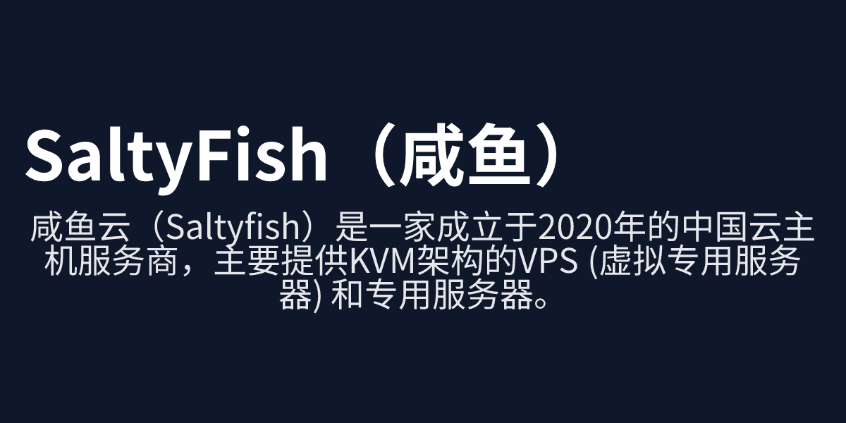 SaltyFish（咸鱼） - DigVPS - 专注VPS测评，总有一款服务器适合您！